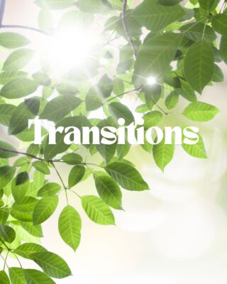 Transitions - by Pastor Kristina - Lovely Lane United Methodist Church